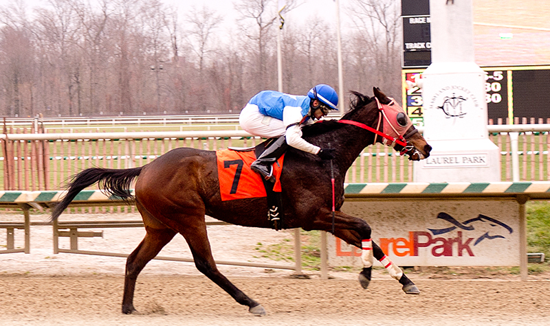 standing point | Virginia Thoroughbred Association