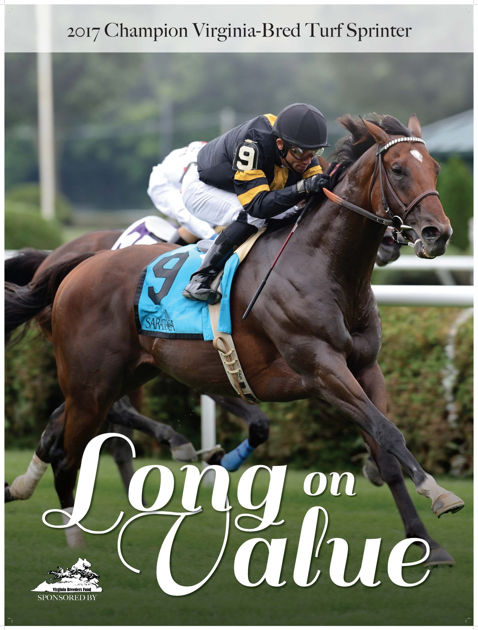 2017 Virginia-Bred Champion Awards | Virginia Thoroughbred Association