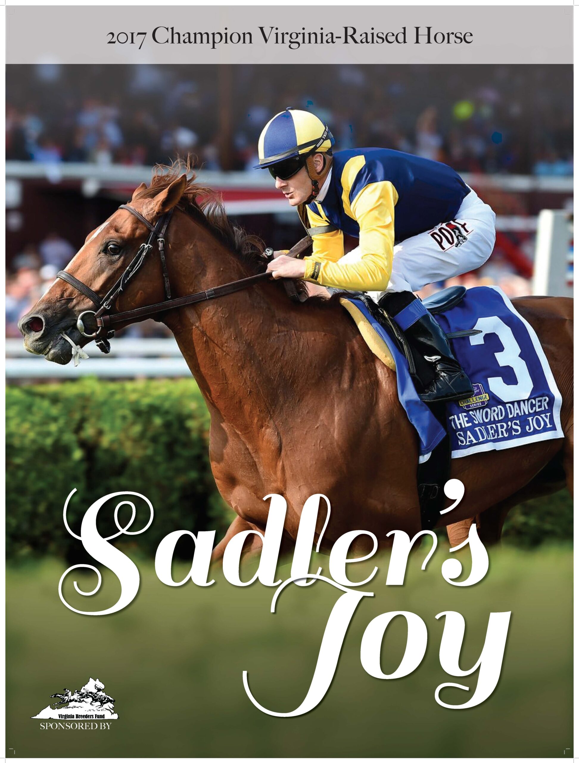 2017 Virginia-Bred Champion Awards | Virginia Thoroughbred Association