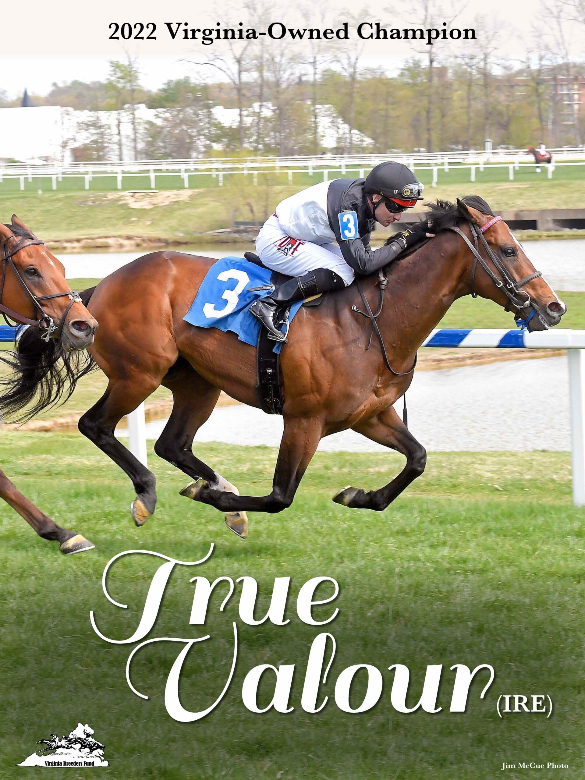 2022 Virginia-Bred Champion Awards | Virginia Thoroughbred Association