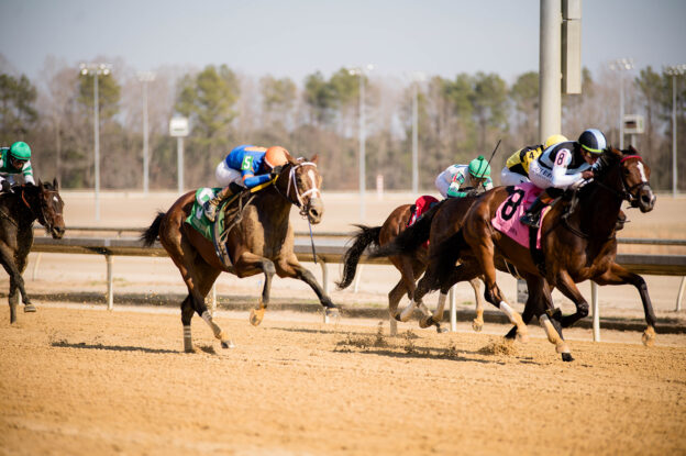 2025 Virginia Derby Recap | Virginia Thoroughbred Association