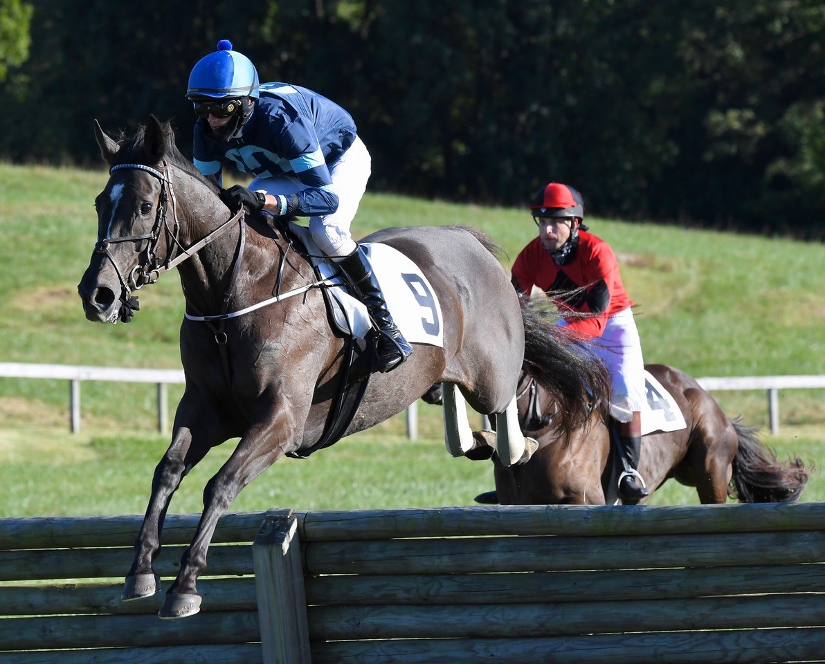 Point-to-Point & NSA Steeplechase Races Populate Virginia Spring Racing ...