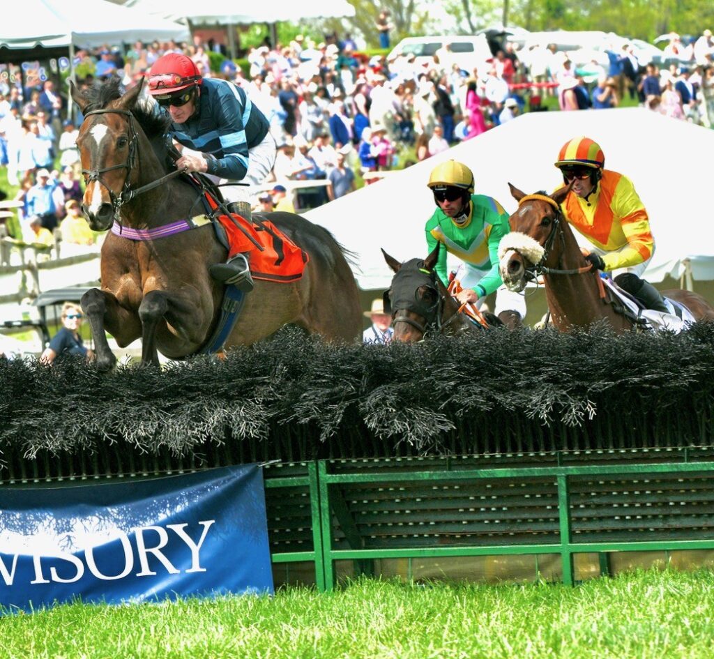 Virginia-Connected Horses Earn Eclipse Award Nominations | Virginia ...