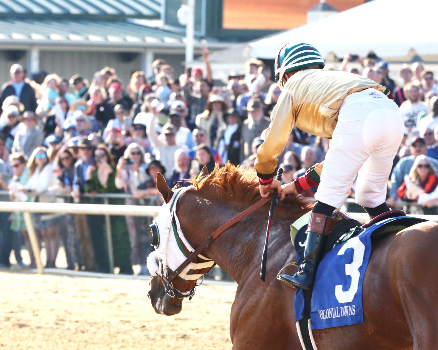 March | 2026 | Virginia Thoroughbred Association